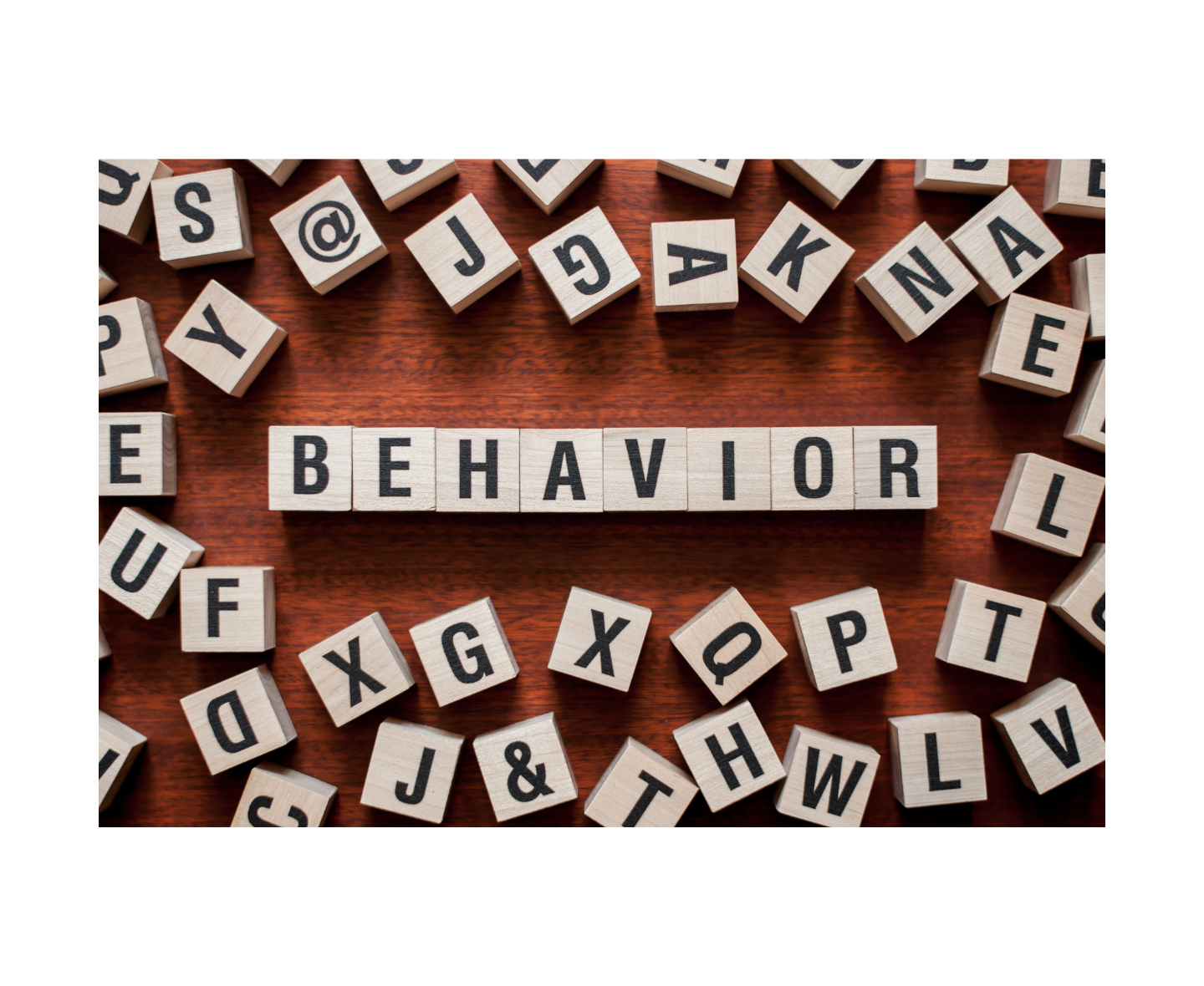new resource, Center of excellence for behavioral Health in Nursing ...